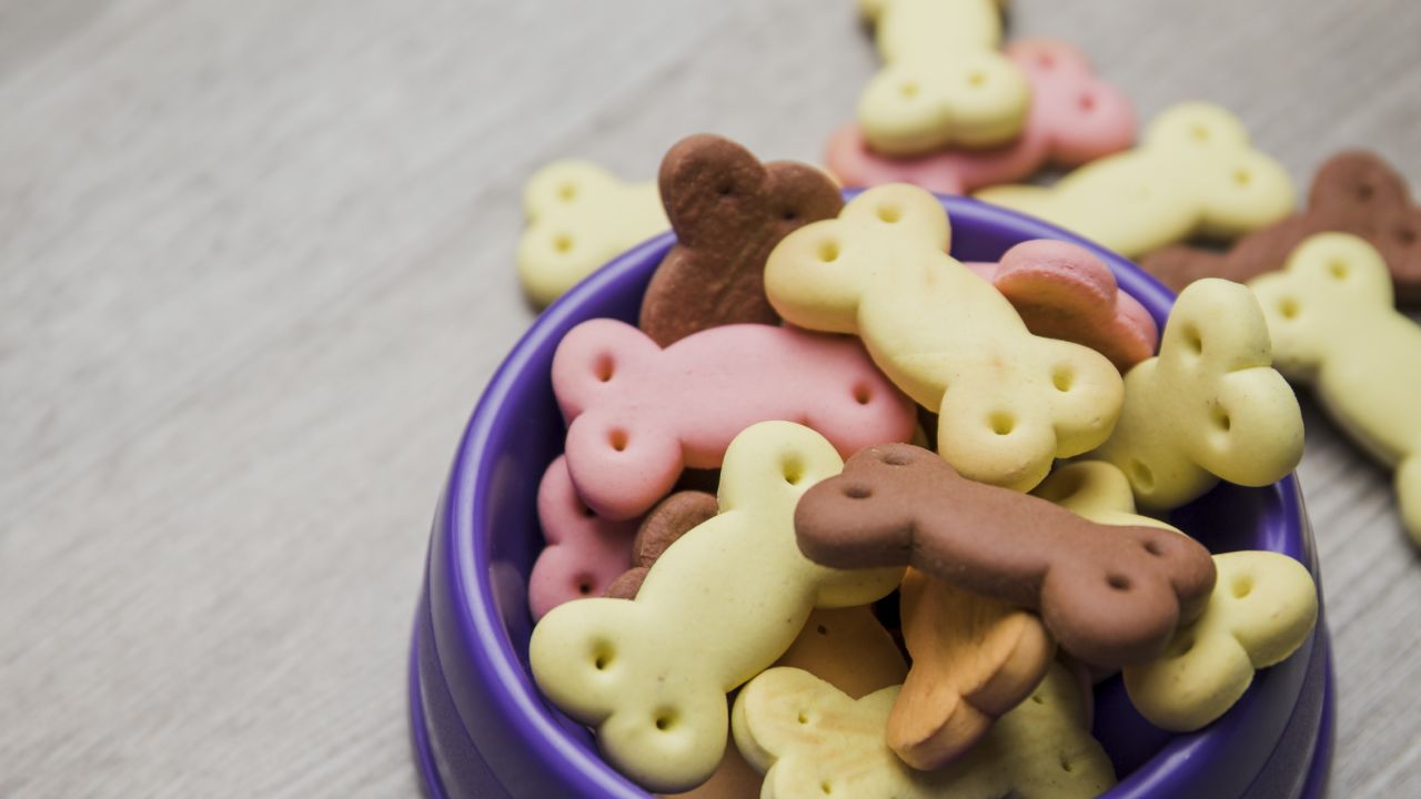Prepara deliciosas y saludables galletas caseras para tu perro