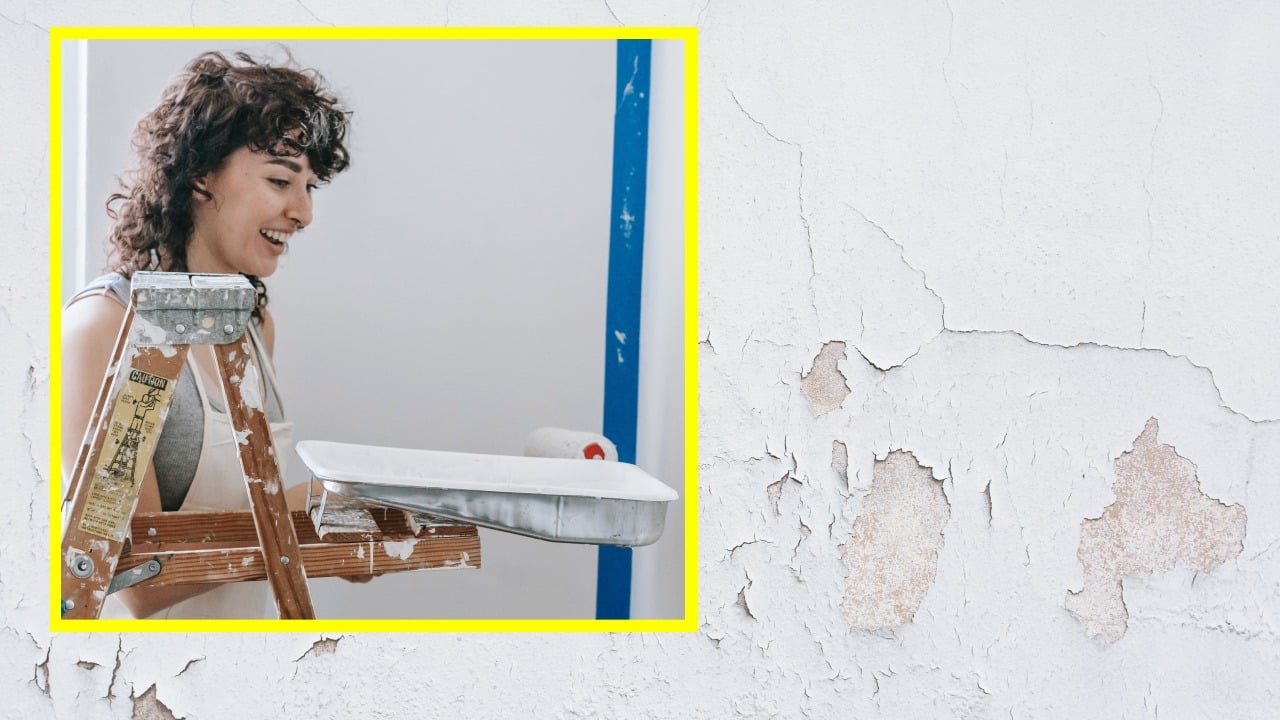 ¿Cómo arreglar una pared con la pintura descascarada? Método fácil y ...