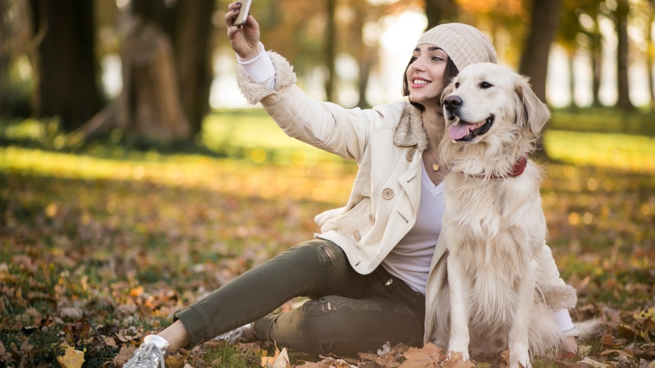Razas de perros inteligentes y amorosos que se convertirán en tus ...