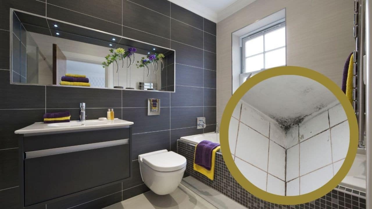 » Elimina la humedad del techo de tu baño con estos dos trucos